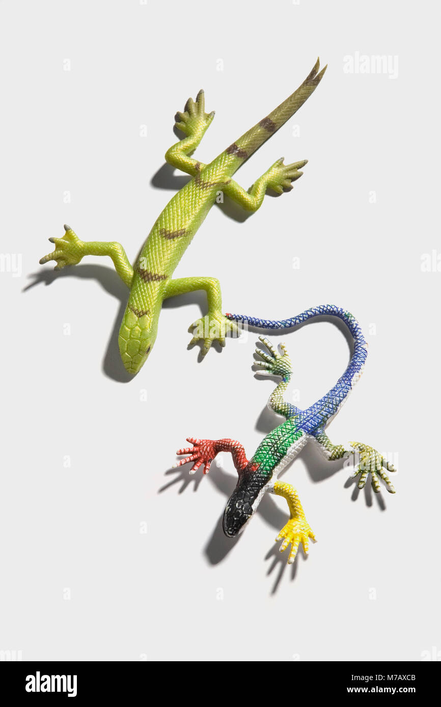High angle view of two plastic lizards Stock Photo - Alamy