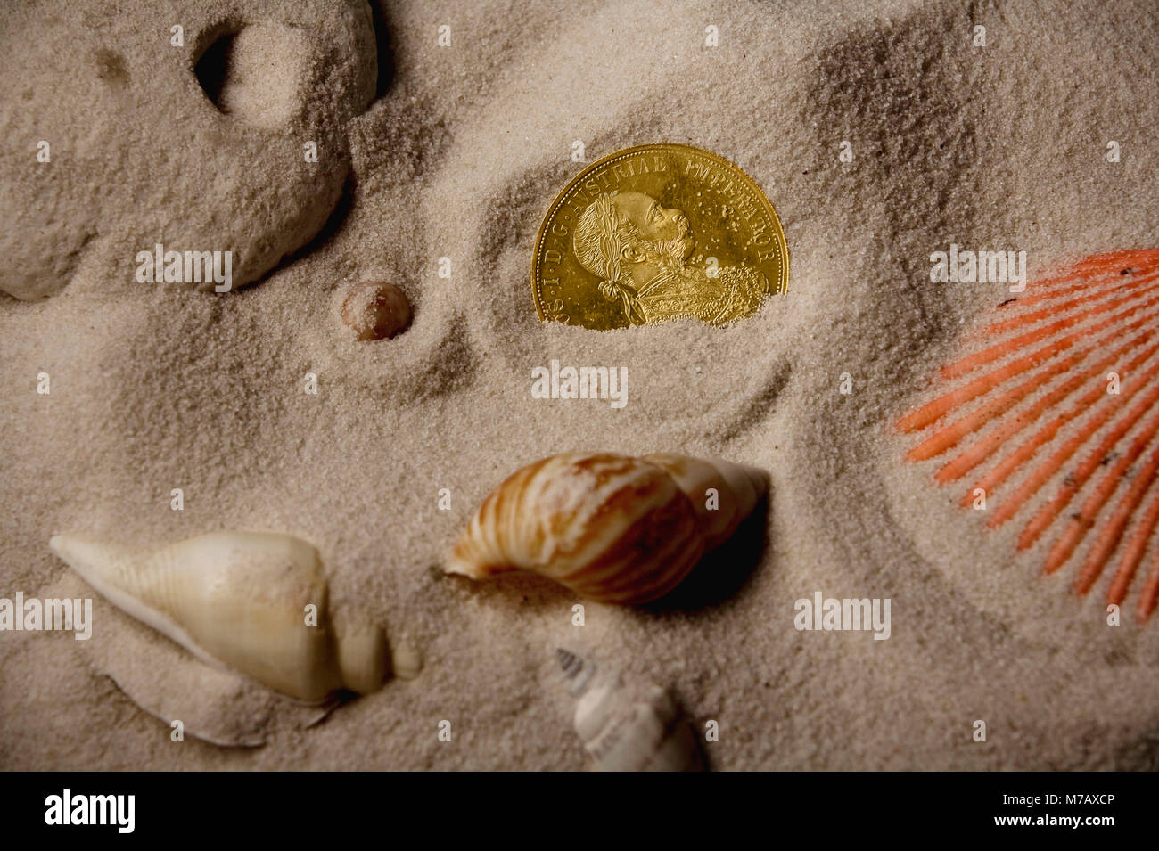 Close-up of coin and shells partially buried in sand Stock Photo - Alamy