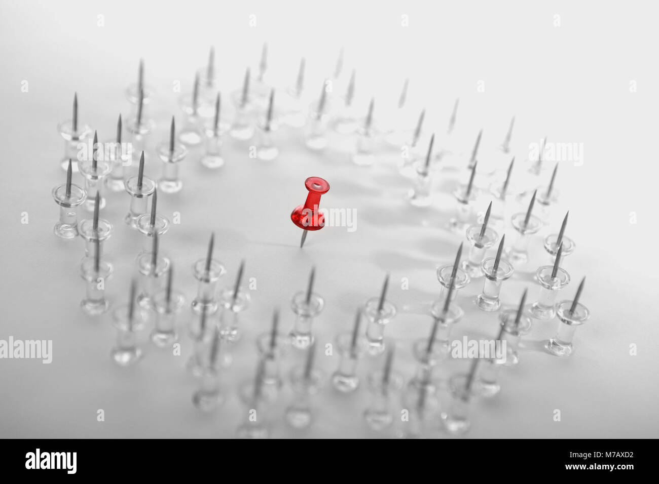 Close-up of red thumbtack surrounded by white thumbtacks in a circle ...