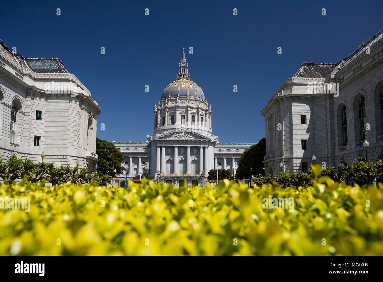 Government Building San Francisco Stock Photos & Government Building ...