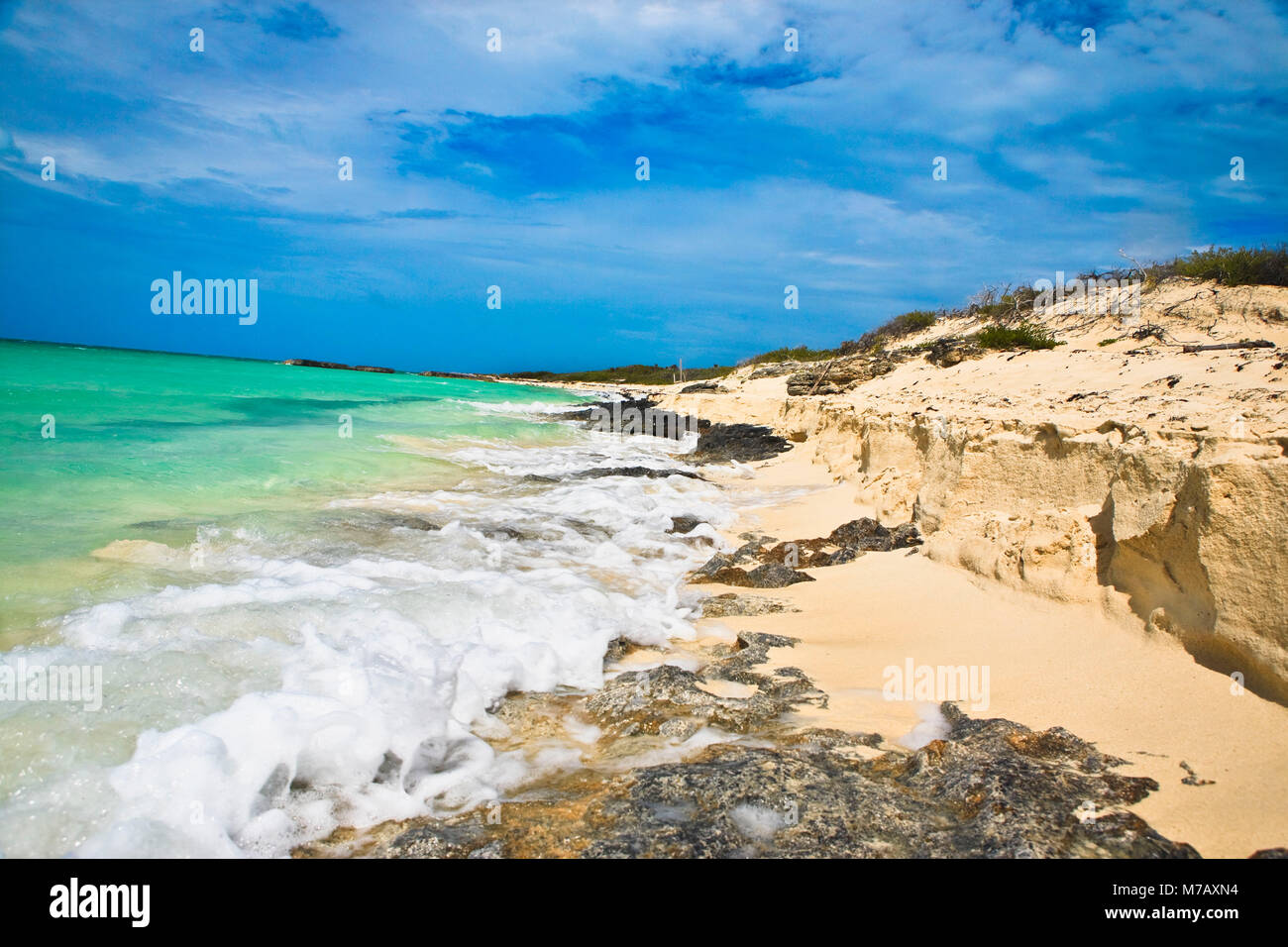Perla blanca hi-res stock photography and images - Alamy