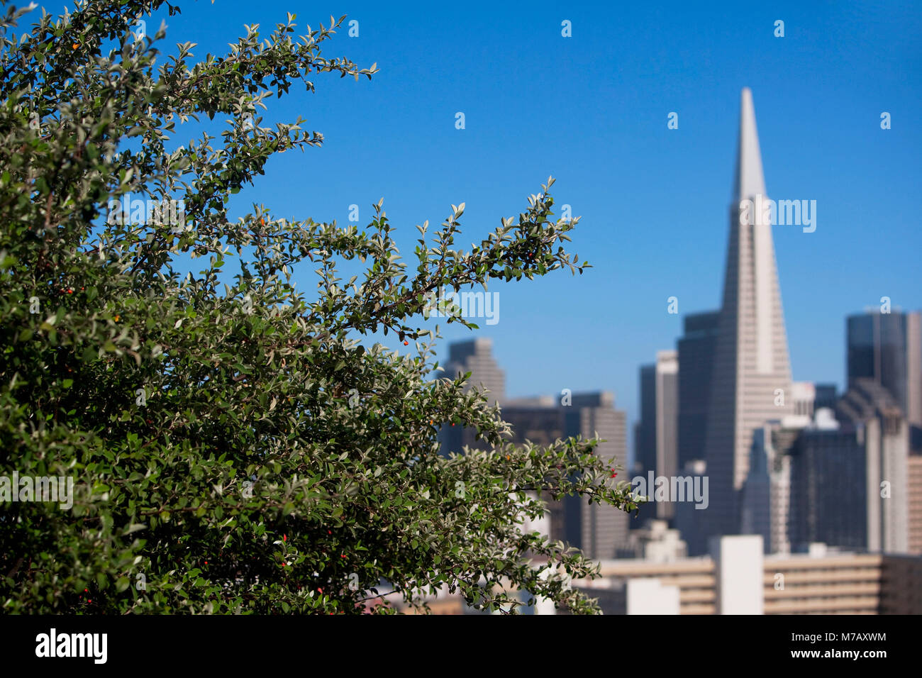 Pyramid spire hi-res stock photography and images - Alamy