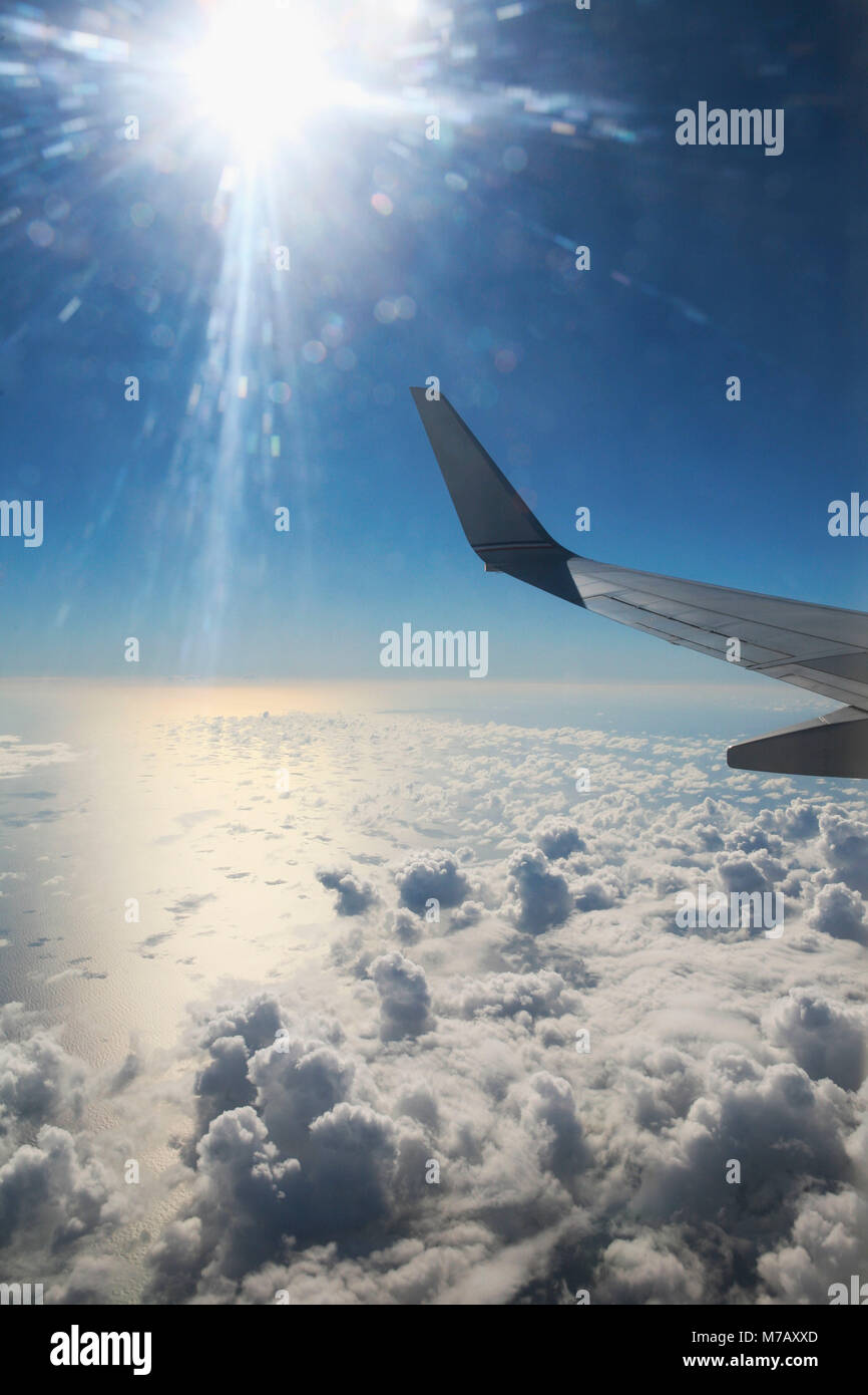 Airplane flying in the sky Stock Photo - Alamy