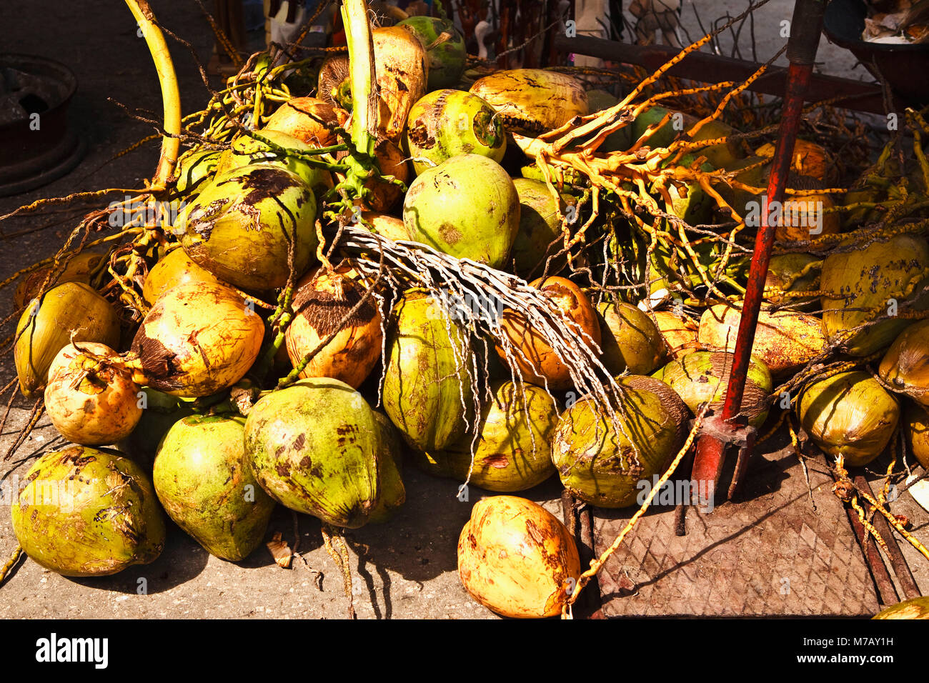 Buying coconuts hi-res stock photography and images - Alamy