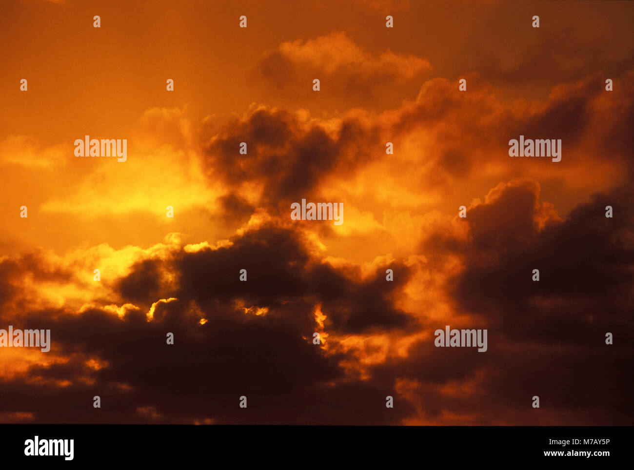Close-up of storm clouds in the sky Stock Photo - Alamy