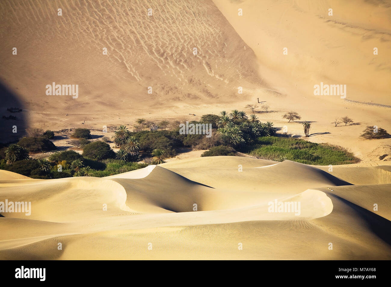 High angle view of an oasis in a desert, Huacachina, Ica, Ica Region ...