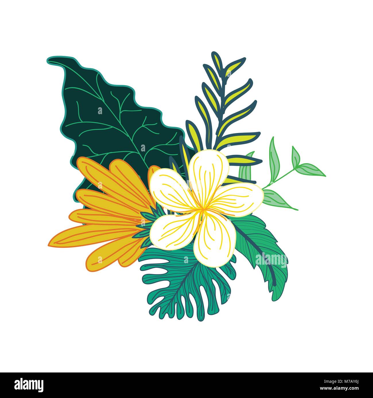 Beautiful Hand Drawn Tropical Flower Foliage Composite Vector Symbol ...