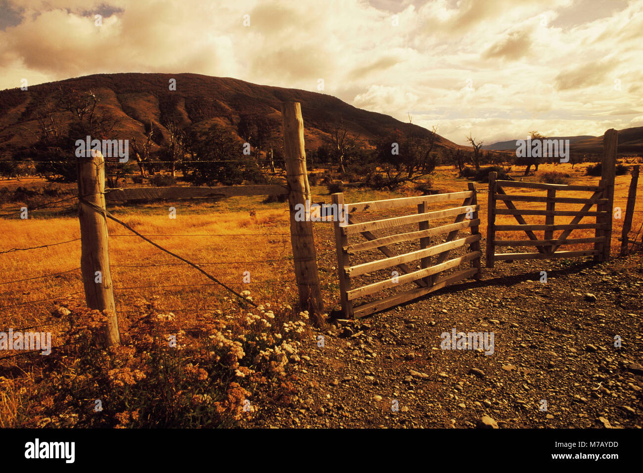 Wooden gate on a landscape Stock Photo - Alamy