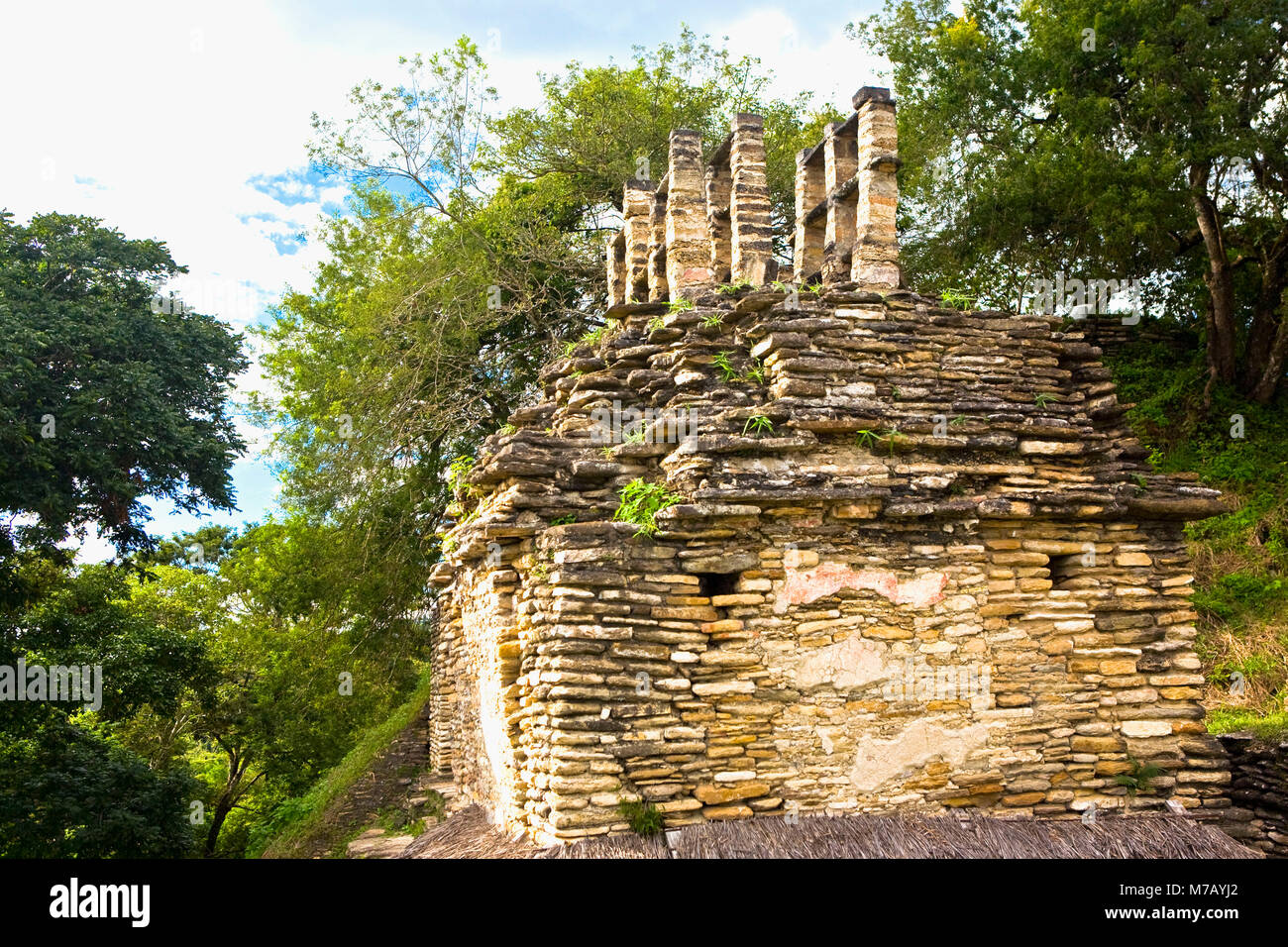 Zona arqueologica de chiapas hi-res stock photography and images - Alamy