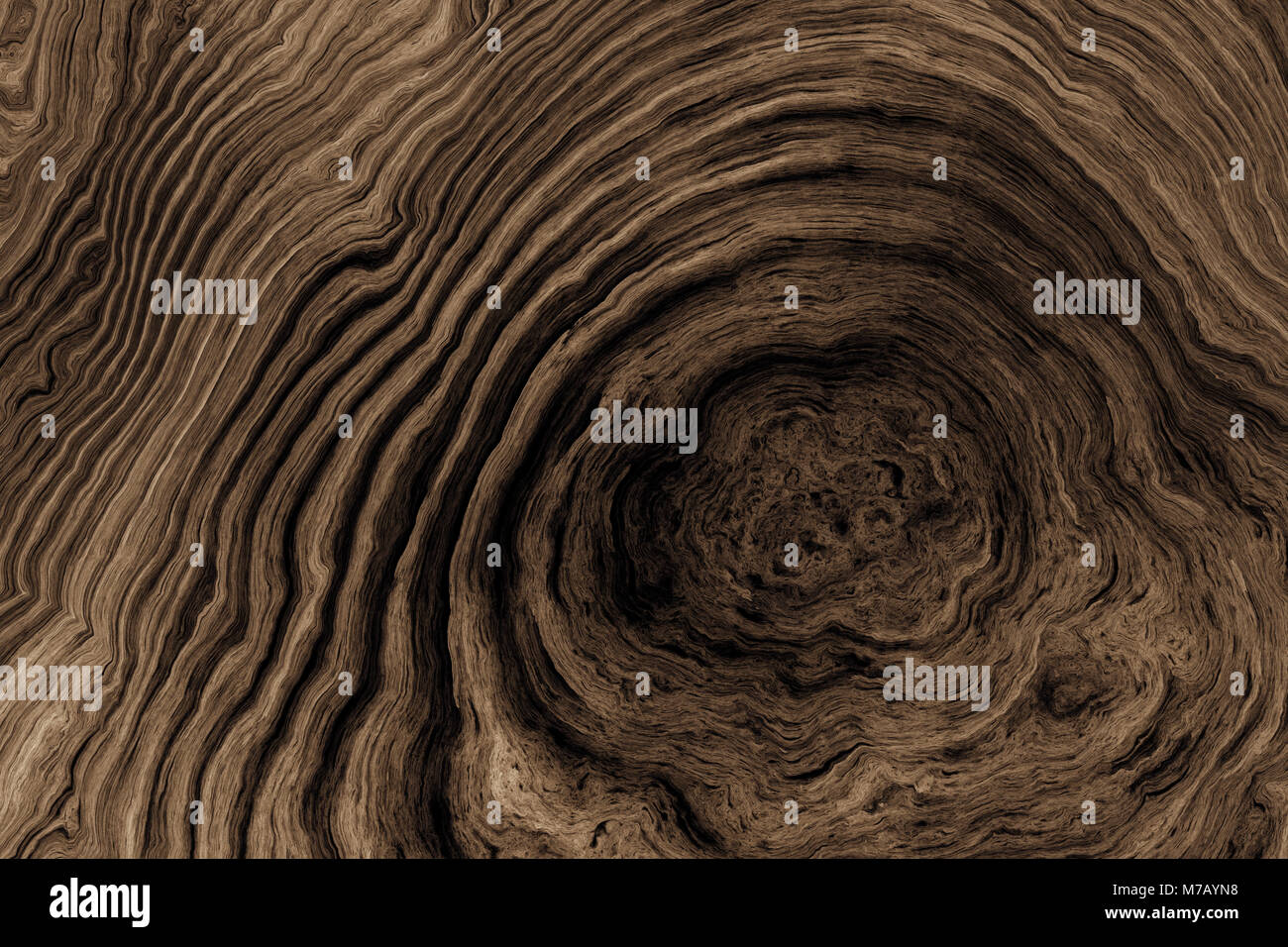 Texture of roots of tree with wavy lines and age rings. Abstract ...