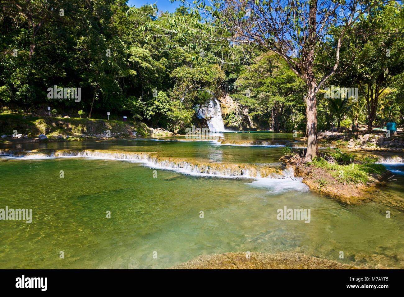 Waterfall in a forest, Tamasopo Waterfalls, Tamasopo, San luis Potosi ...