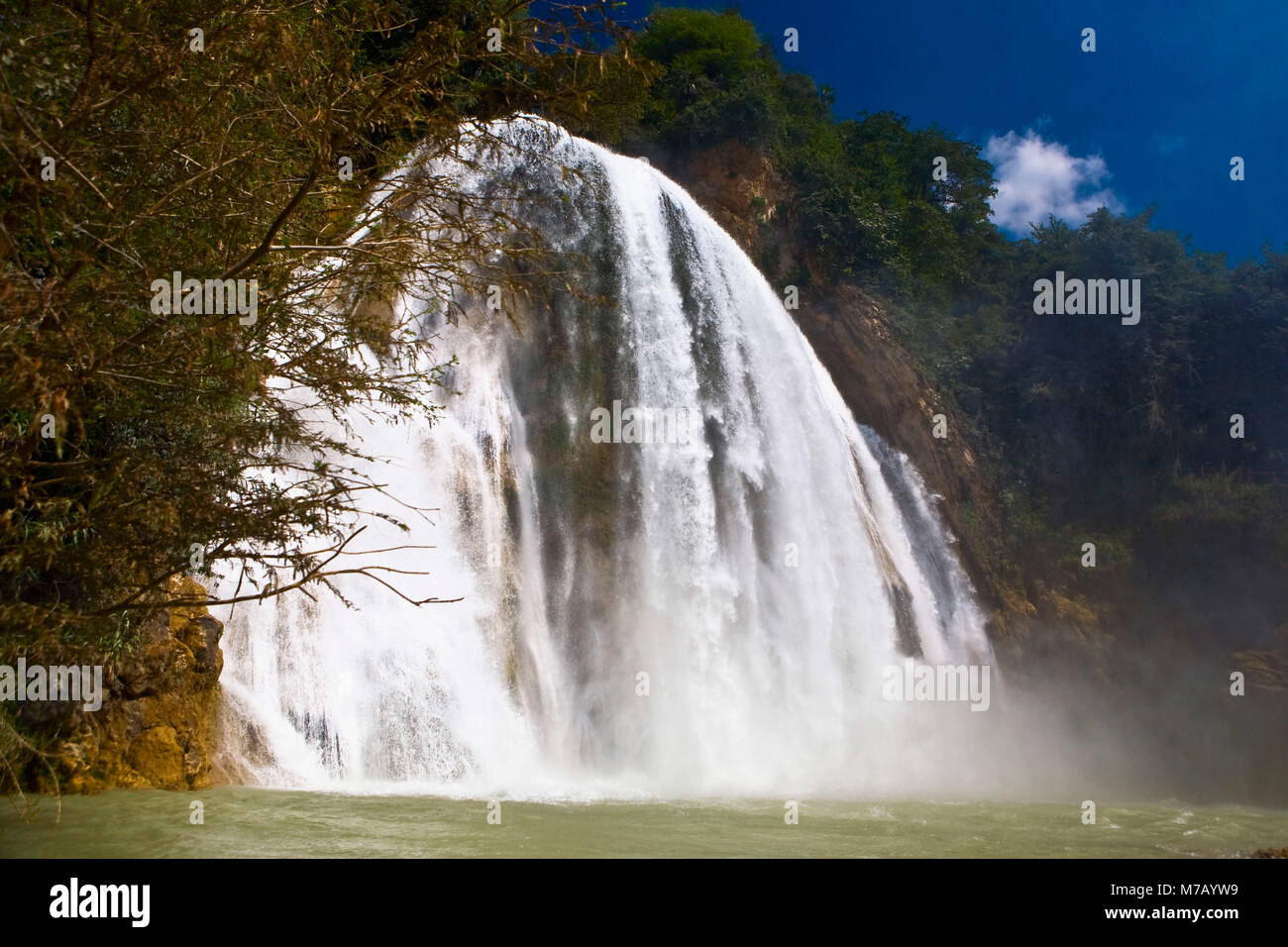 Waterfall in a forest, El Chiflon, Socoltenango, Chiapas, Mexico Stock ...