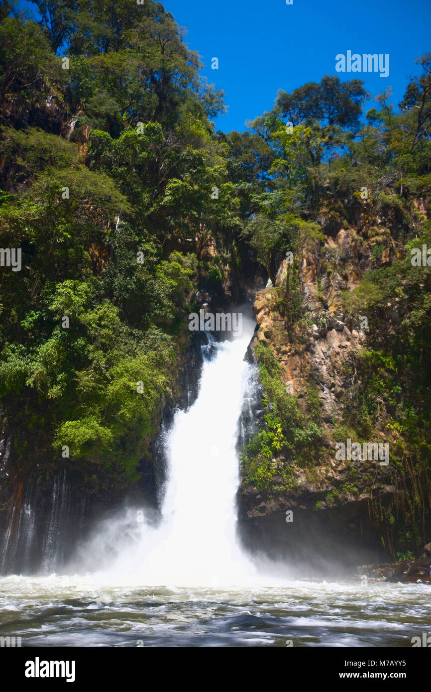 Waterfall in a forest, Tzararacua Waterfall, Uruapan, Michoacan State ...
