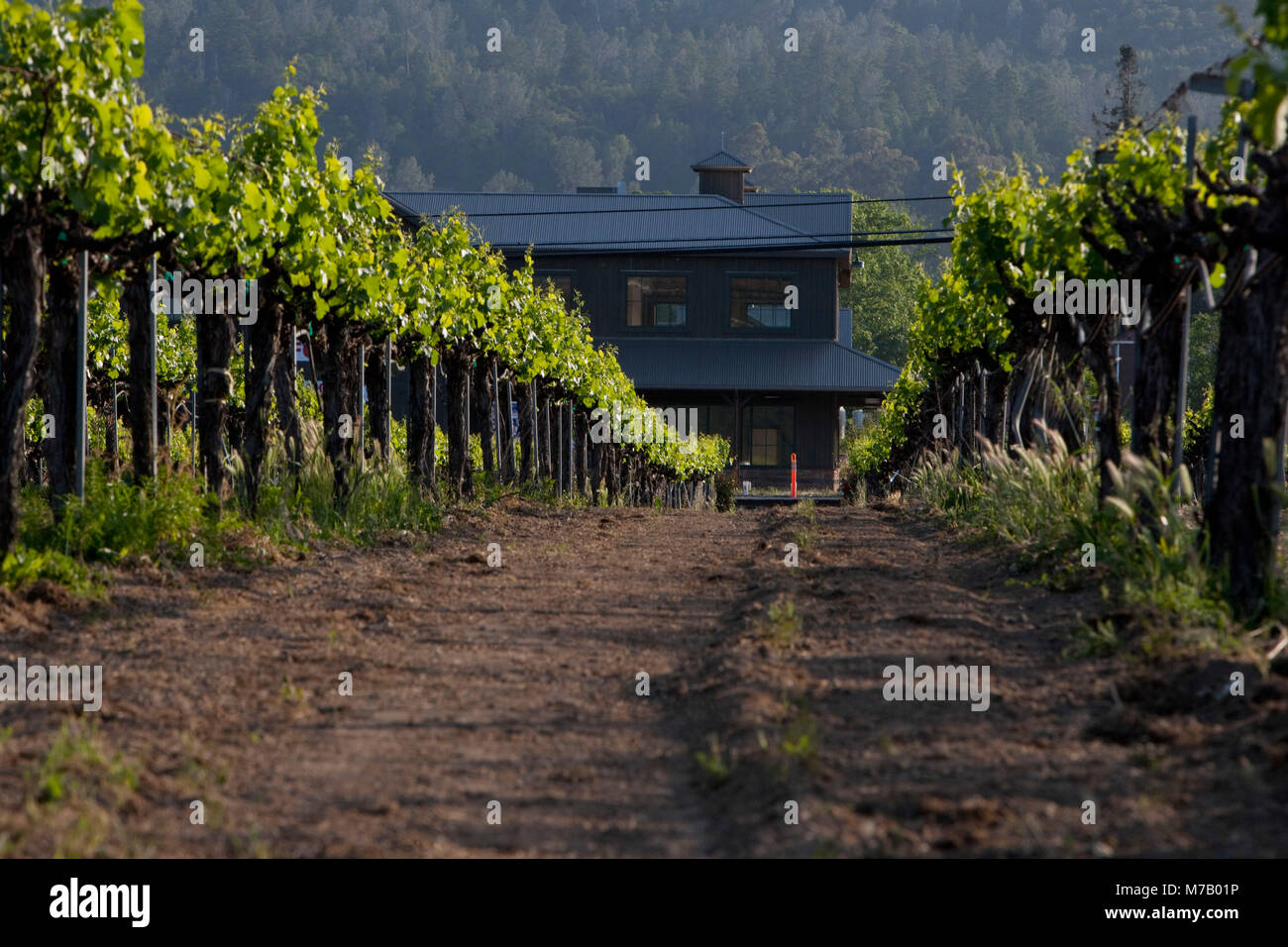 Napa valley vineyard house hi-res stock photography and images - Alamy