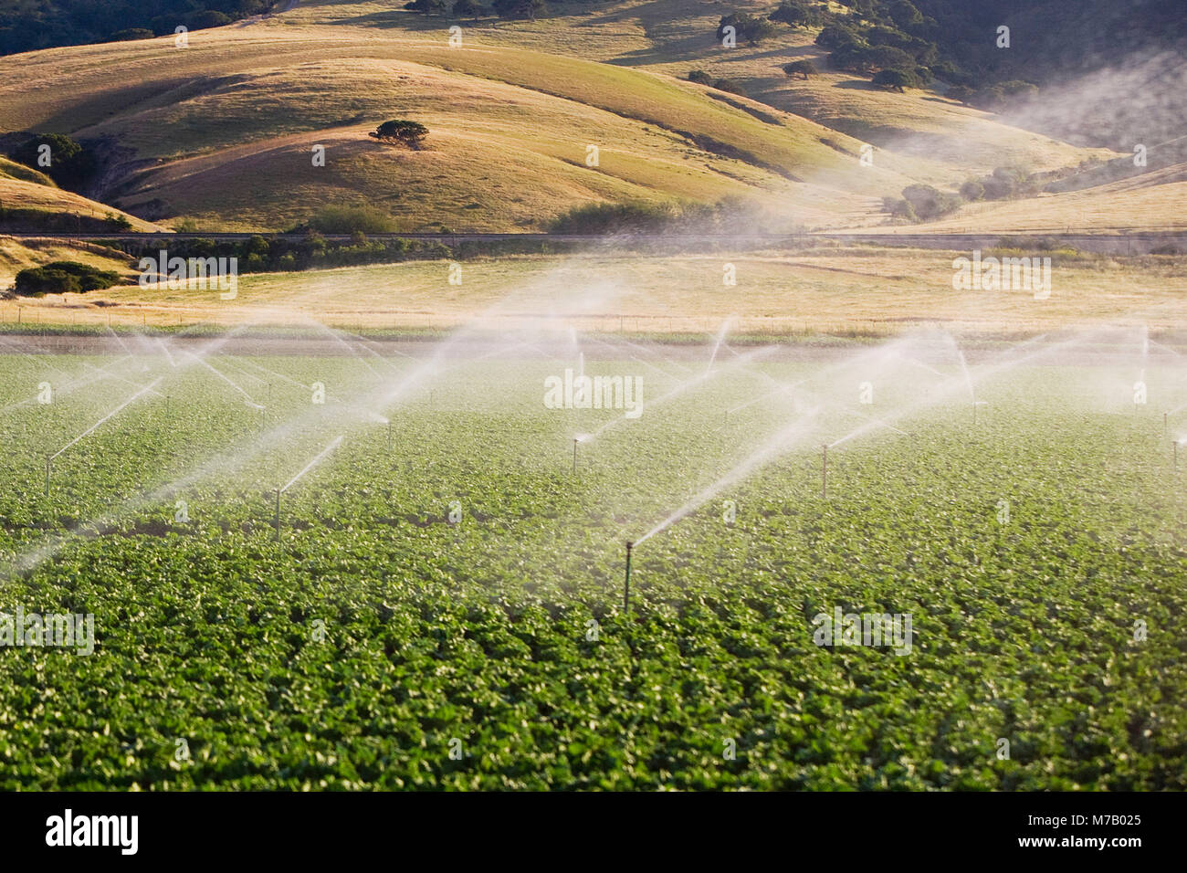 Agricultural sprinkler photos hi-res stock photography and images - Alamy