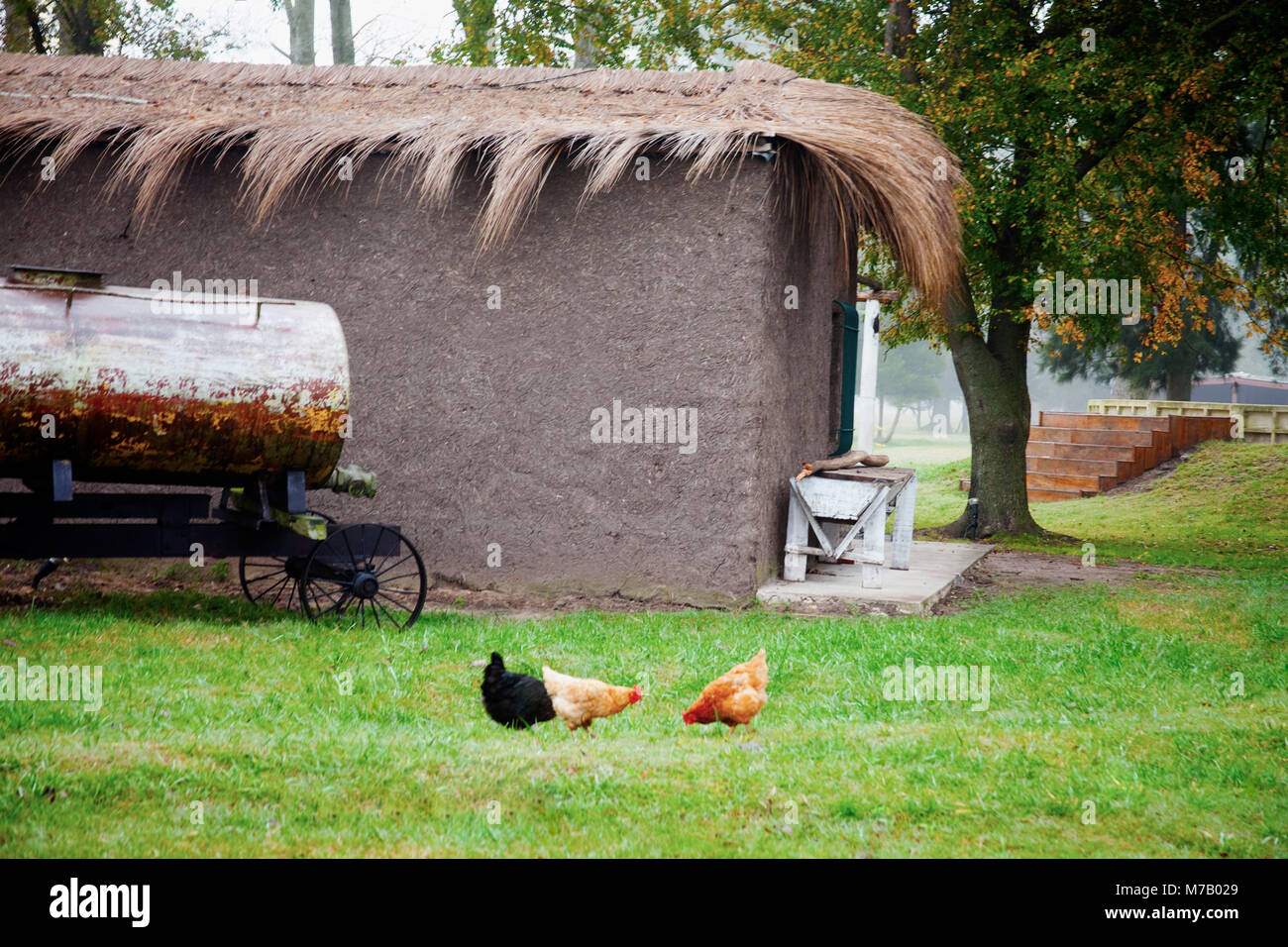Farmhouse in a field hi-res stock photography and images - Alamy