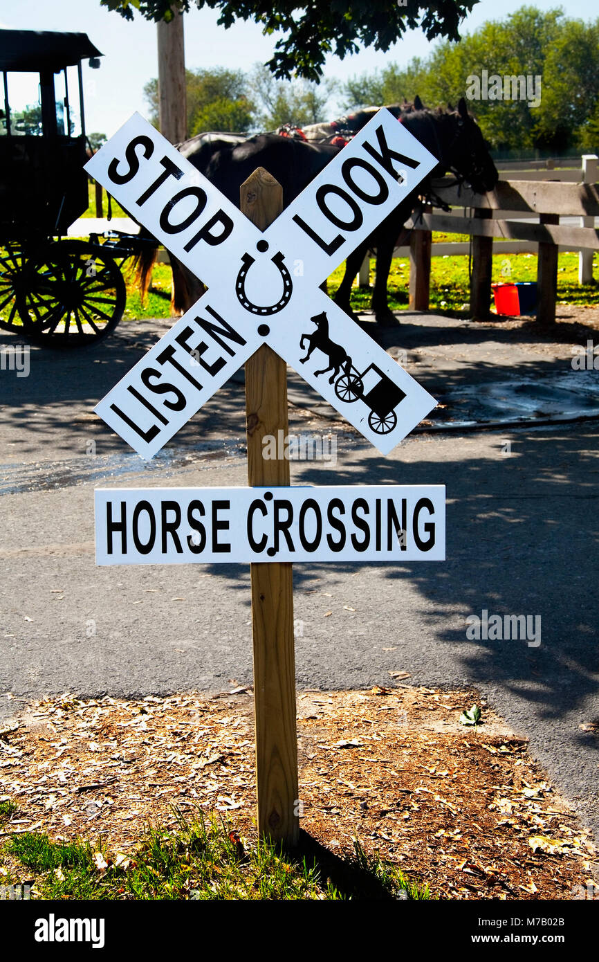 Amish Farms High Resolution Stock Photography and Images - Alamy