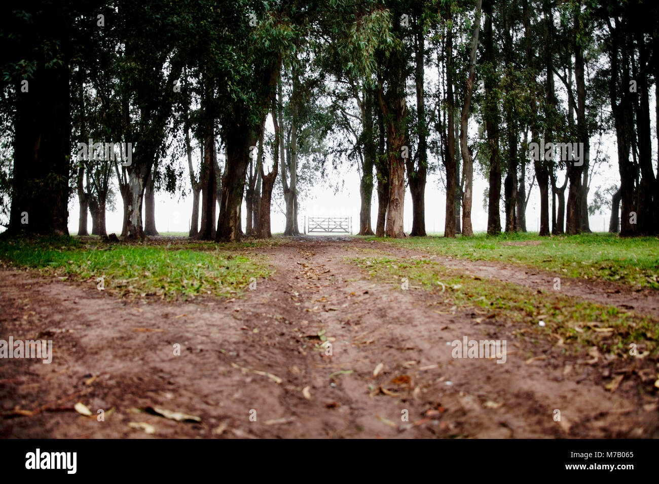 Passing phenomenon hi-res stock photography and images - Alamy