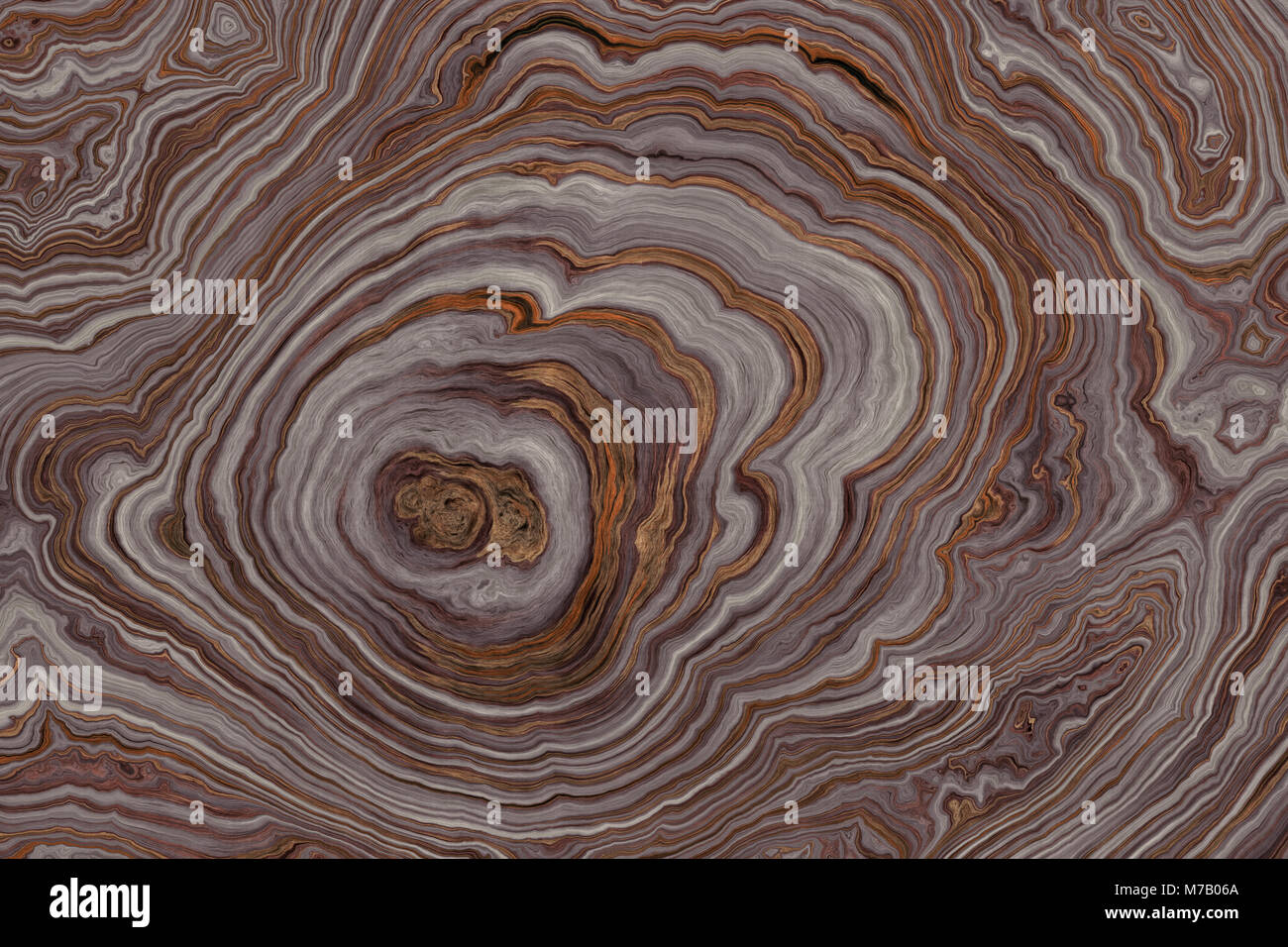 Texture of roots of tree with wavy lines and age rings. Abstract ...