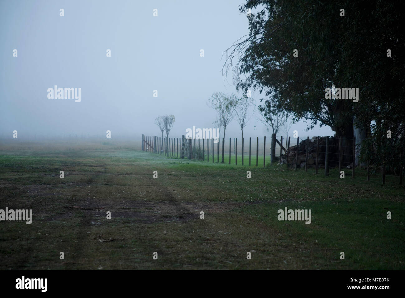 The field at the first fence hi-res stock photography and images - Alamy