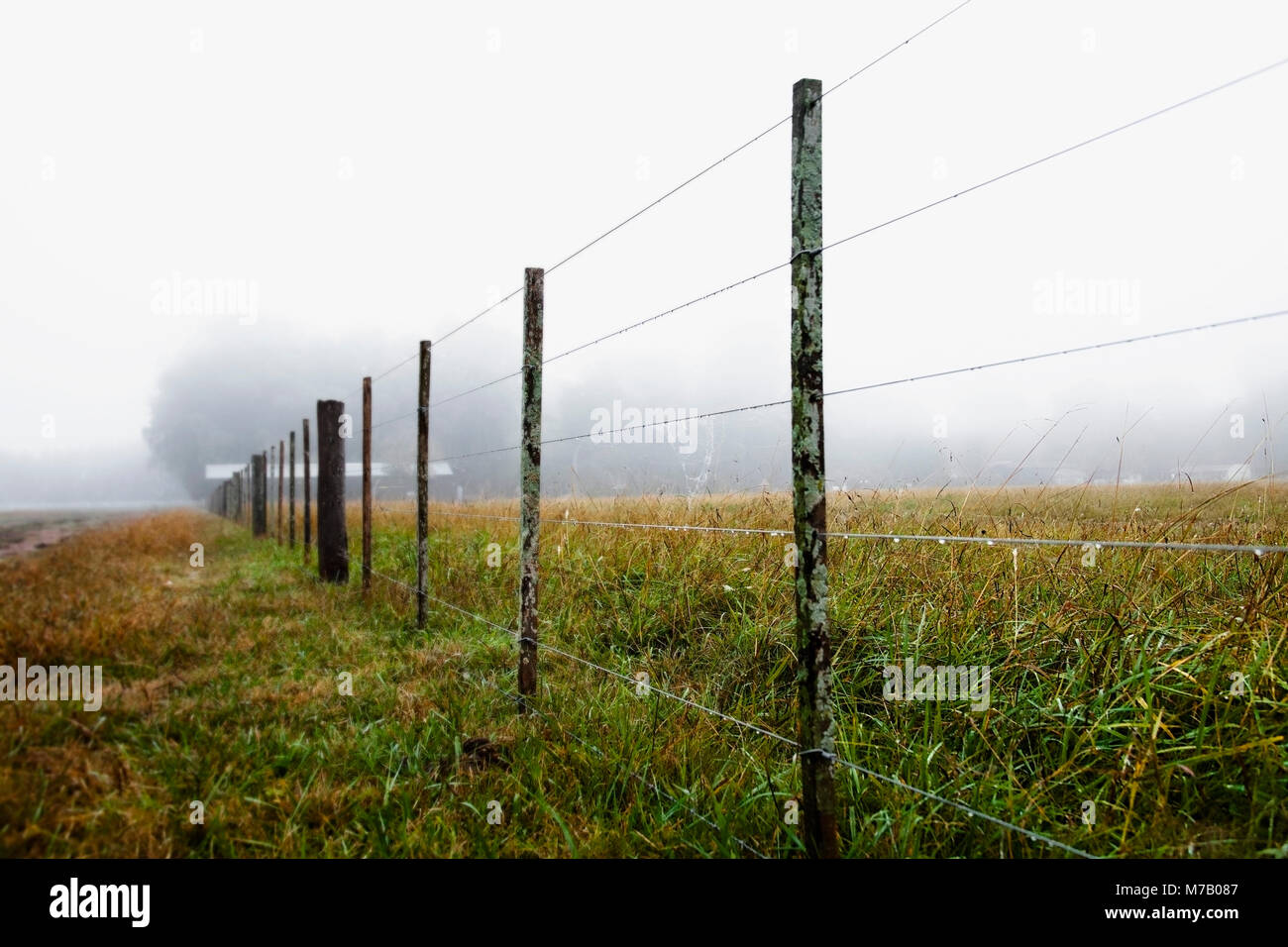 Fence in a field Stock Photo - Alamy