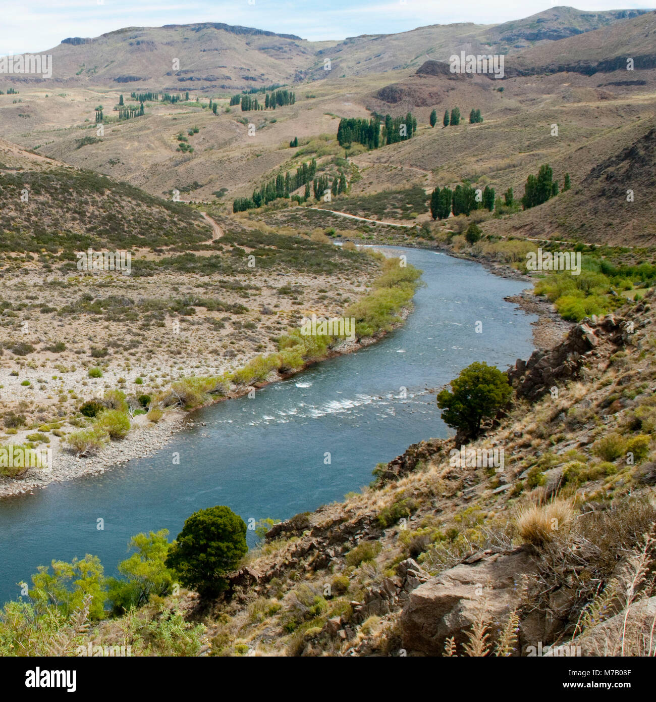 Stream flowing through a forest, Cordillera de los Andes, Argentina ...