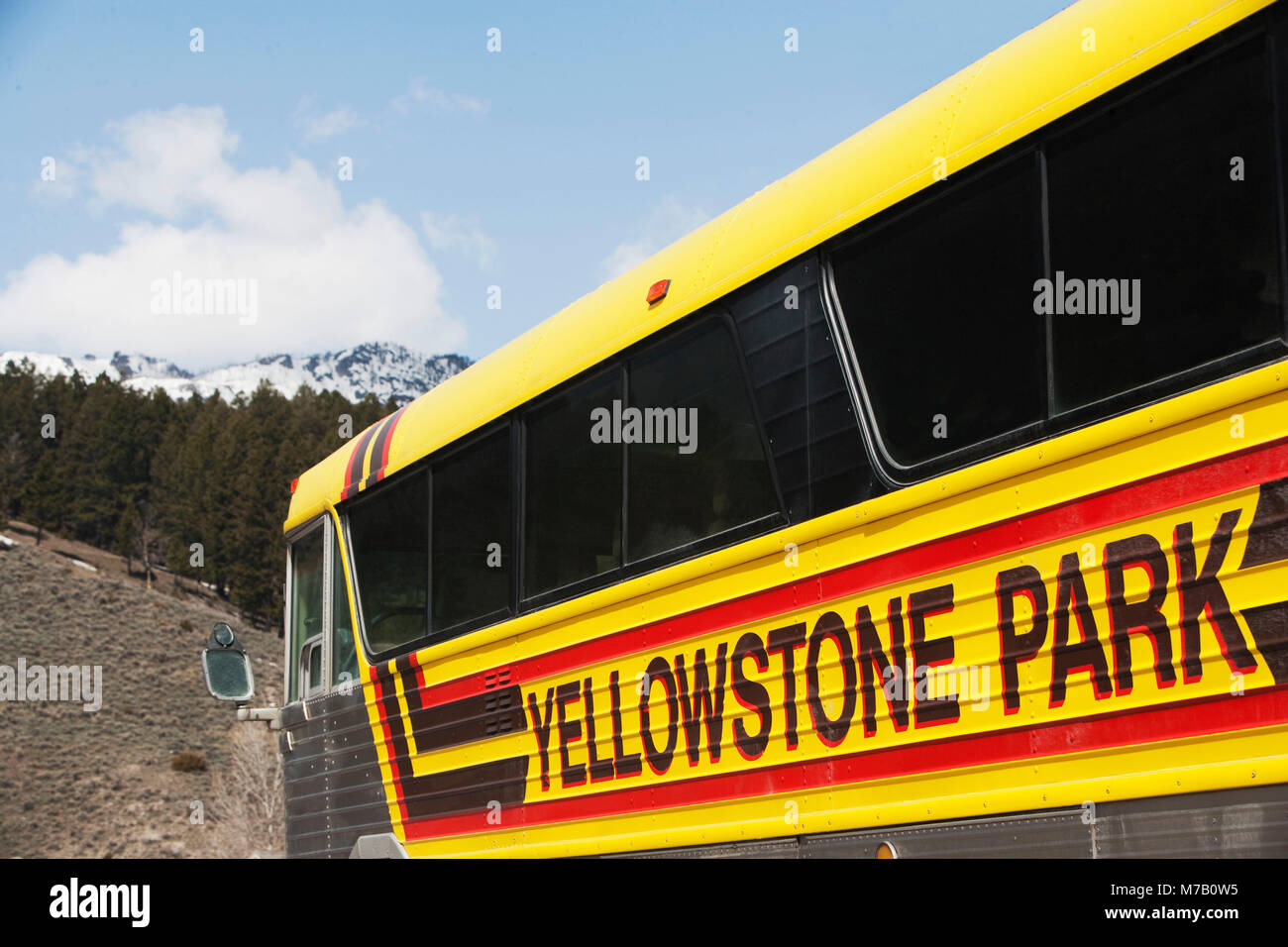 Tour bus in a forest, Yellowstone National Park, Wyoming, USA Stock ...