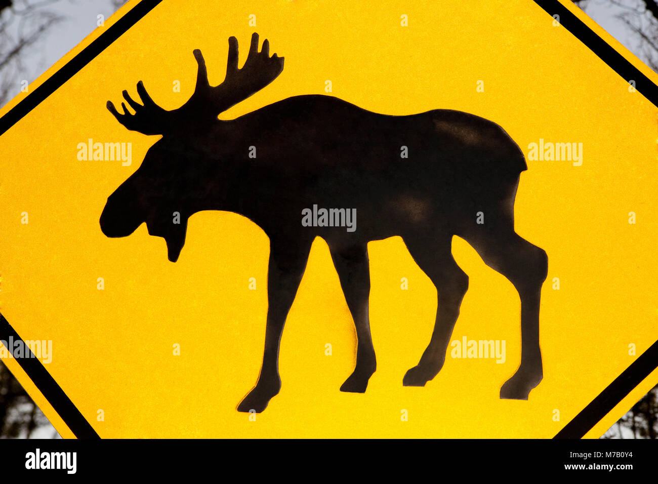 Moose crossing sign hi-res stock photography and images - Alamy