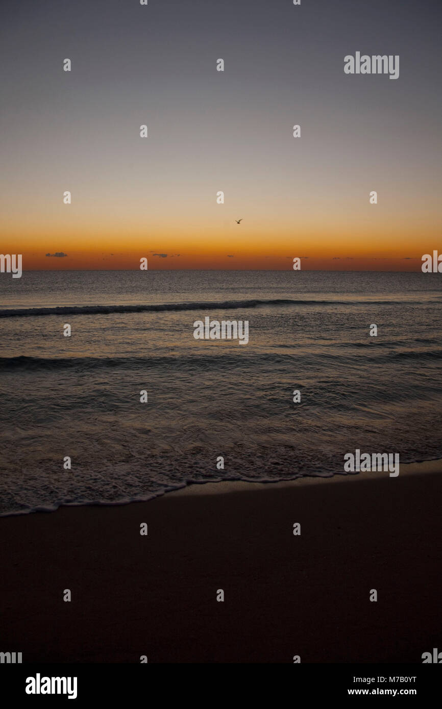 Surf on the beach, Miami Beach, Florida, USA Stock Photo - Alamy