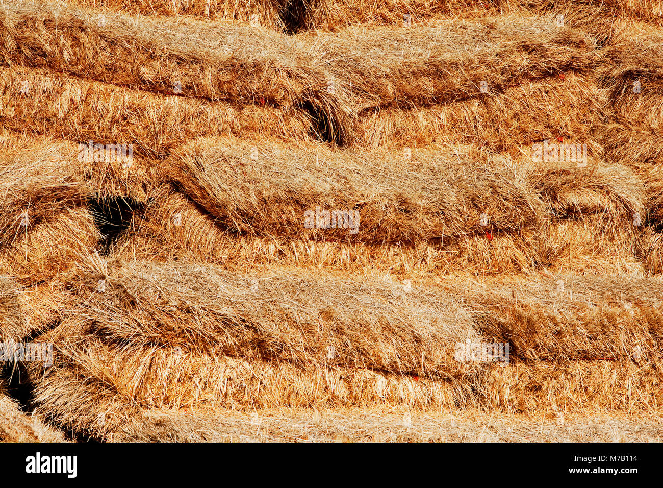 Haystack In A Farm High Resolution Stock Photography and Images - Alamy