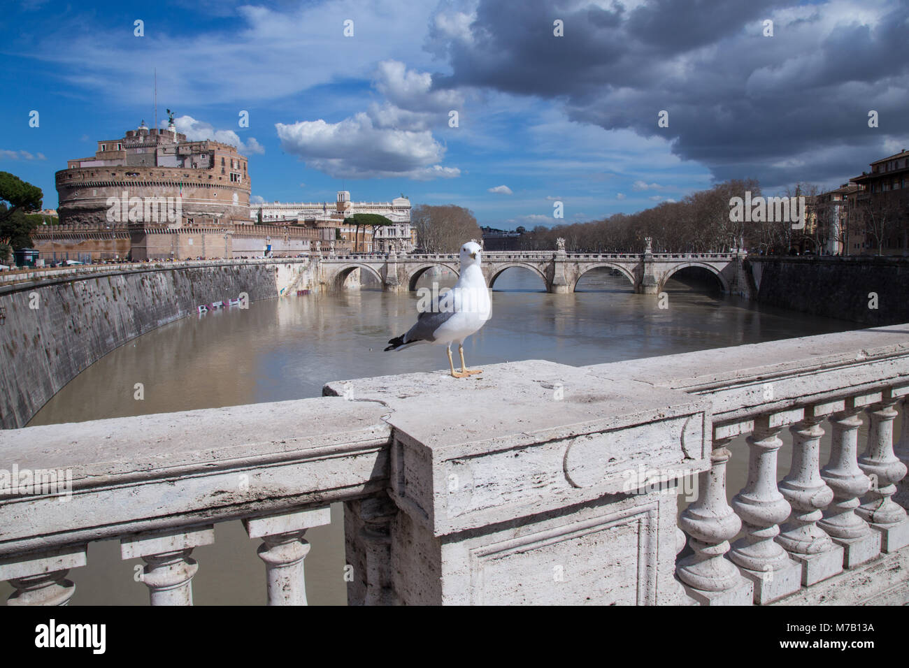 Roma, Italy. 09th Mar, 2018. Seagull on the Vittorio Emanuele II bridge ...