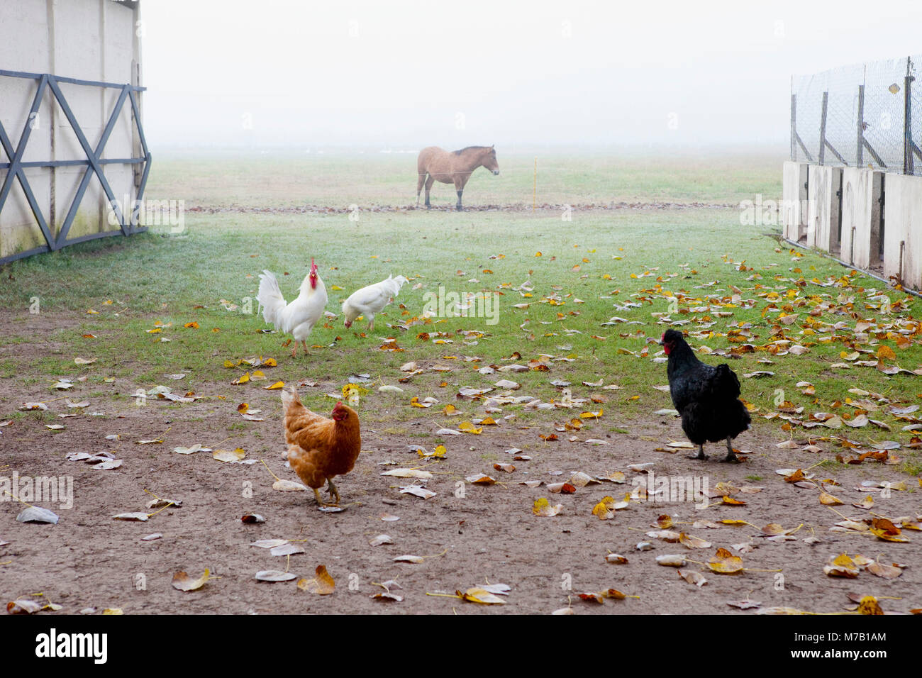 Outdoor day horizontal color colour image photography plantation ...