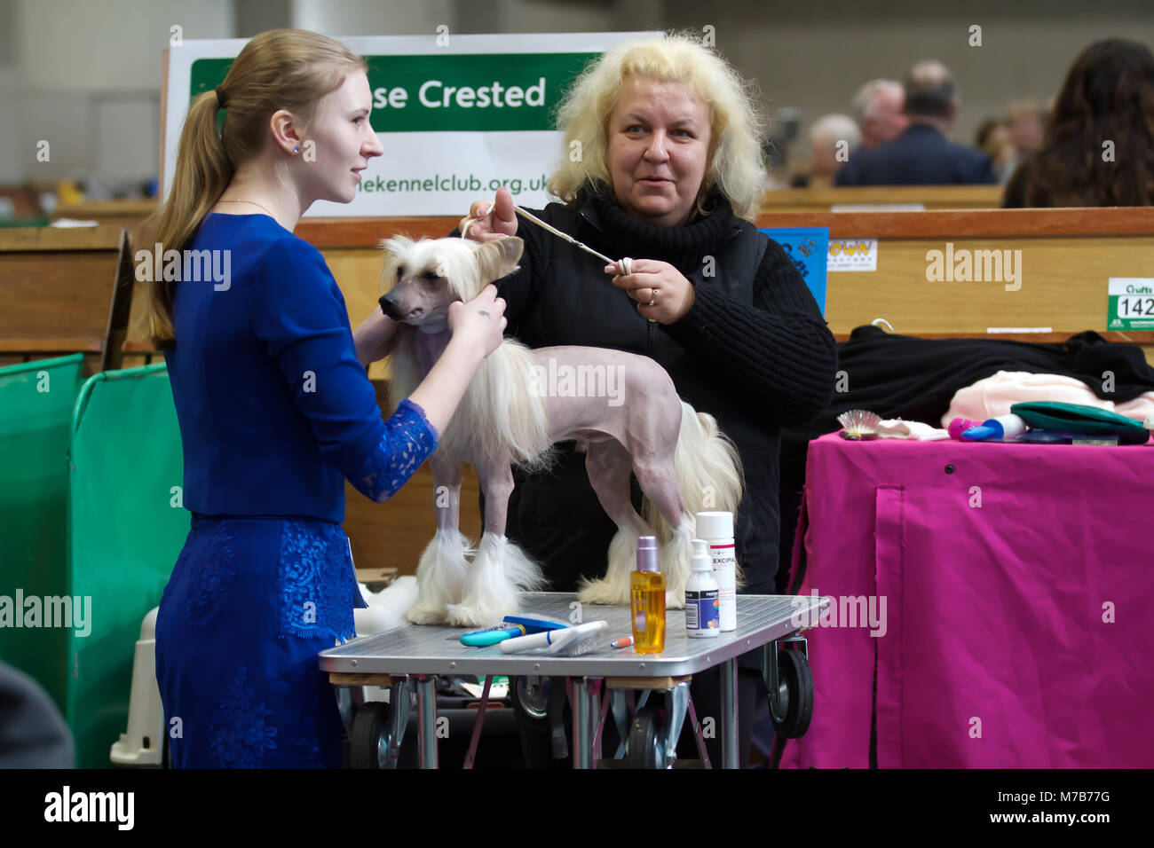 Birmingham,UK,10th March 2018,Crufts presented by the Kennel Club at ...