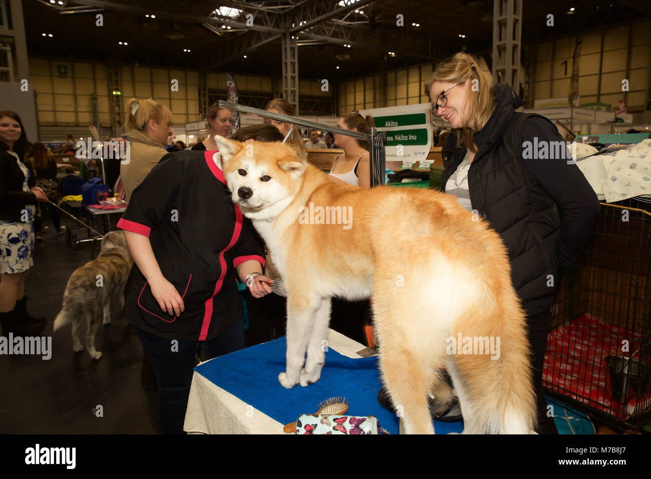 Birmingham,UK,10th March 2018,Crufts presented by the Kennel Club at ...