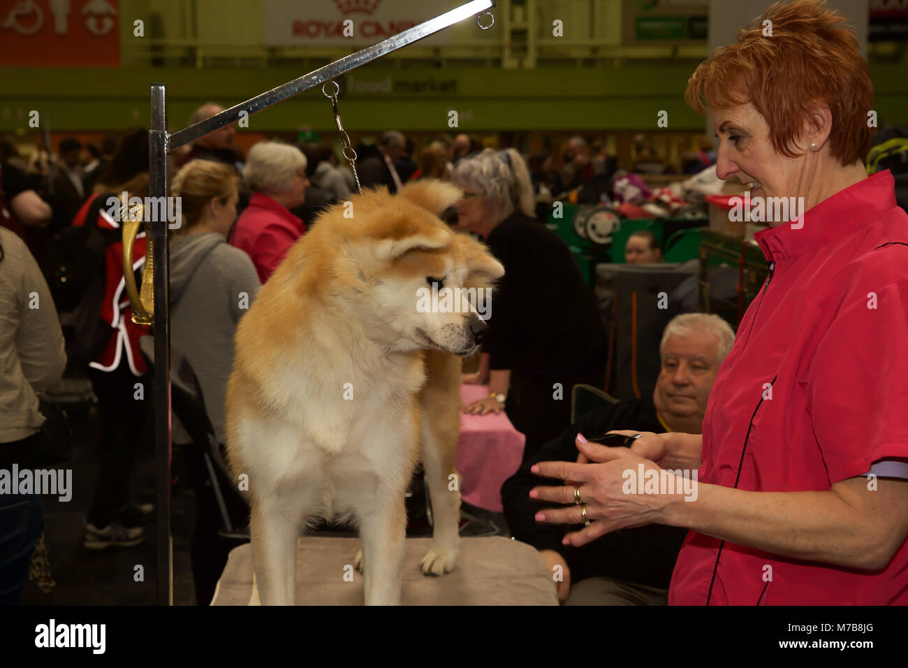 Birmingham,UK,10th March 2018,Crufts presented by the Kennel Club at ...