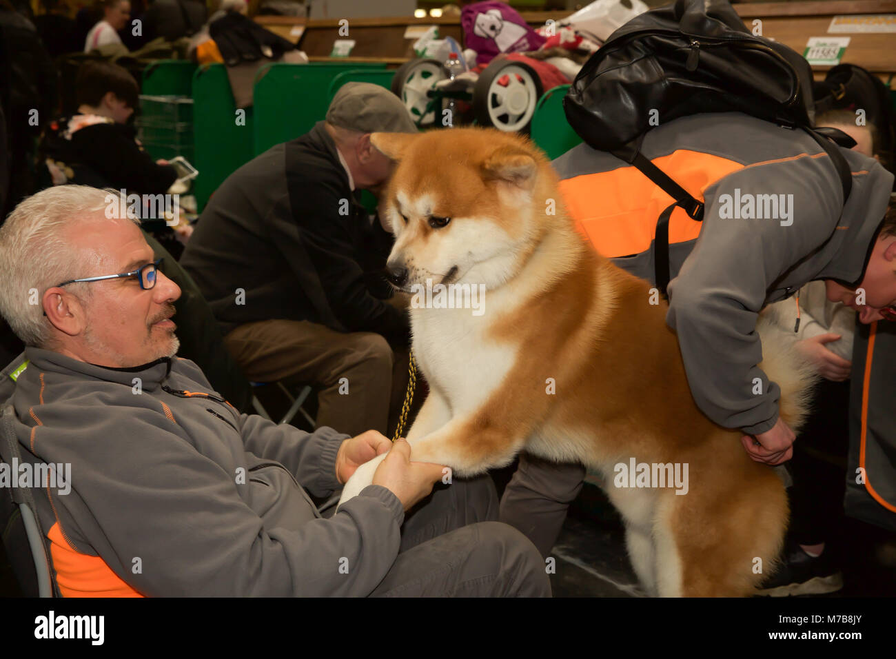 Birmingham,UK,10th March 2018,Crufts presented by the Kennel Club at ...