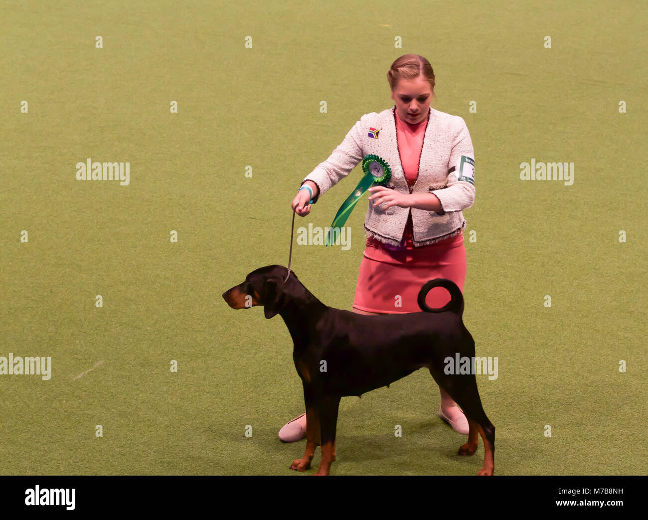 Birmingham,UK,10th March 2018,Crufts presented by the Kennel Club at ...
