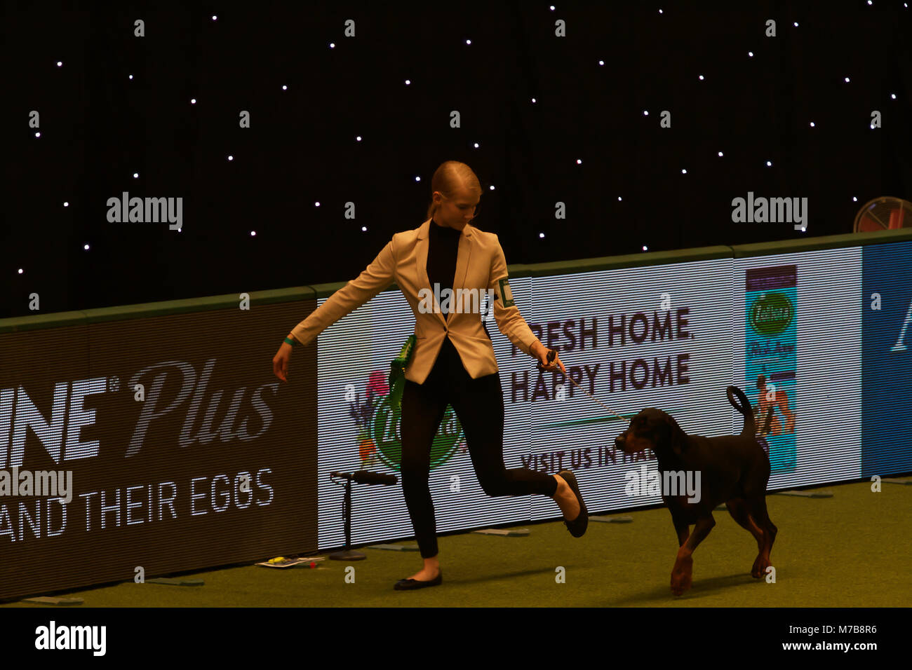 Birmingham,UK,10th March 2018,Crufts presented by the Kennel Club at ...