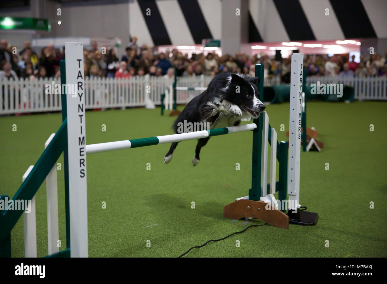 Birmingham,UK,10th March 2018,Crufts presented by the Kennel Club at ...
