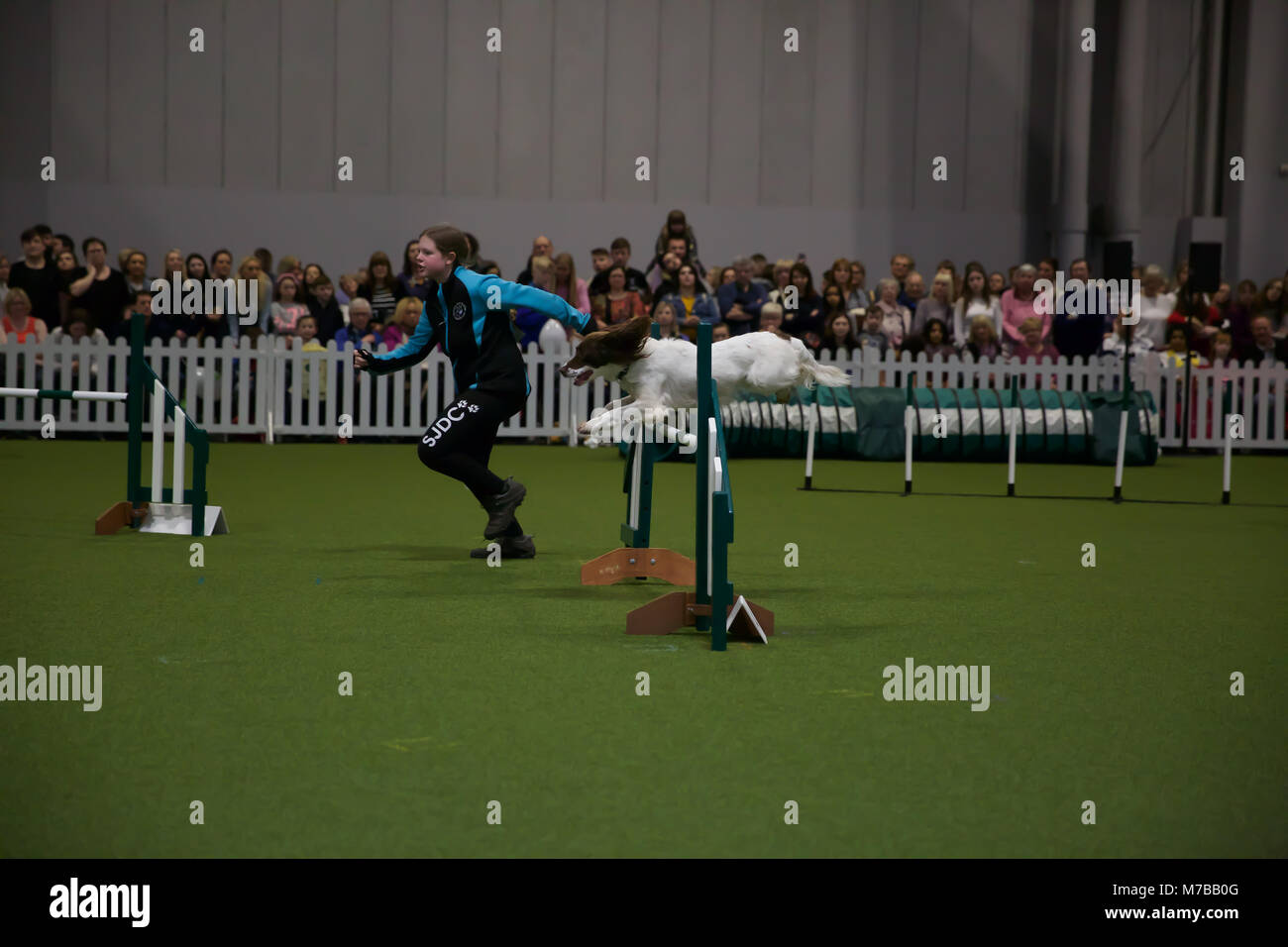 Birmingham,UK,10th March 2018,Crufts presented by the Kennel Club at ...