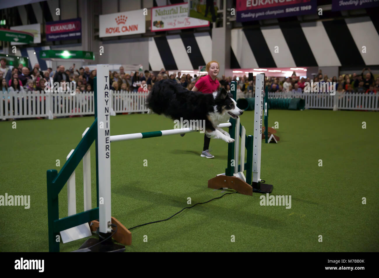 Birmingham,UK,10th March 2018,Crufts presented by the Kennel Club at ...