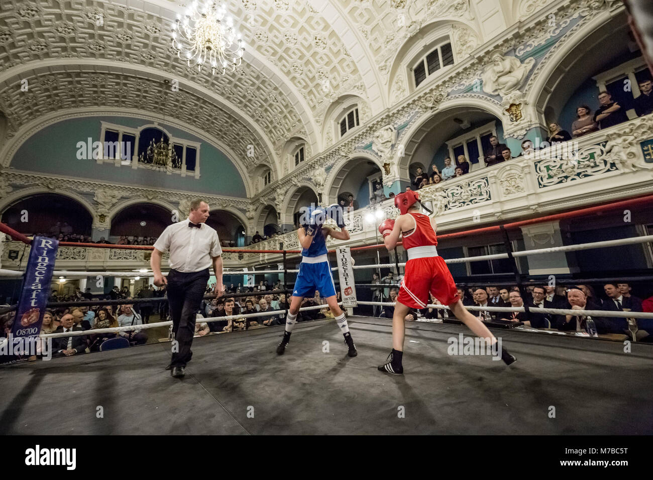 Female boxing match ring hi-res stock photography and images - Alamy