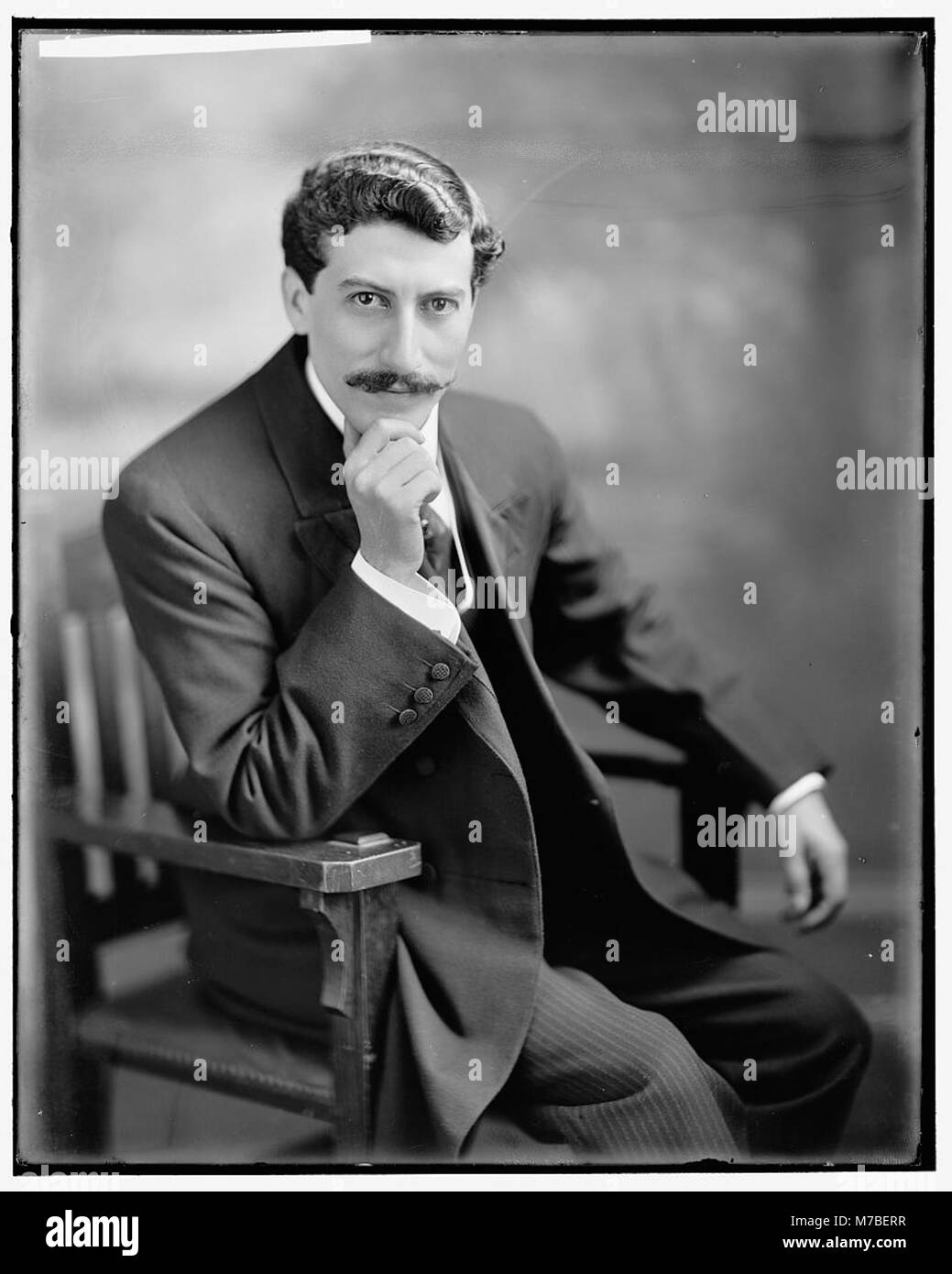 A portrait of Enrique Borja, an honorable figure in his field, captured ...