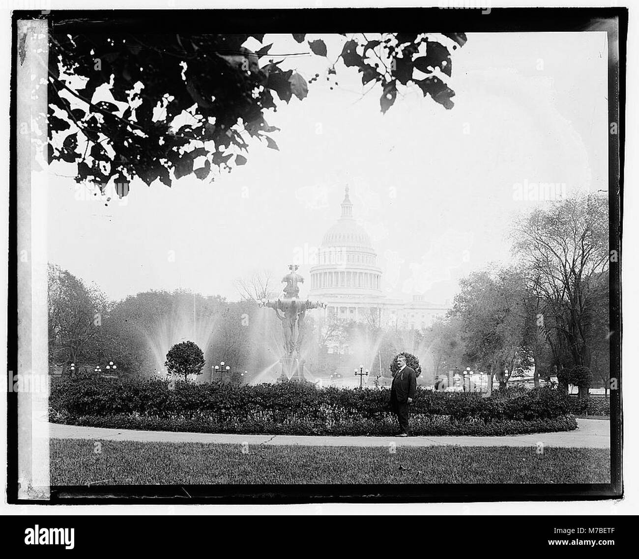 Botanical art captures Black and White Stock Photos & Images - Alamy