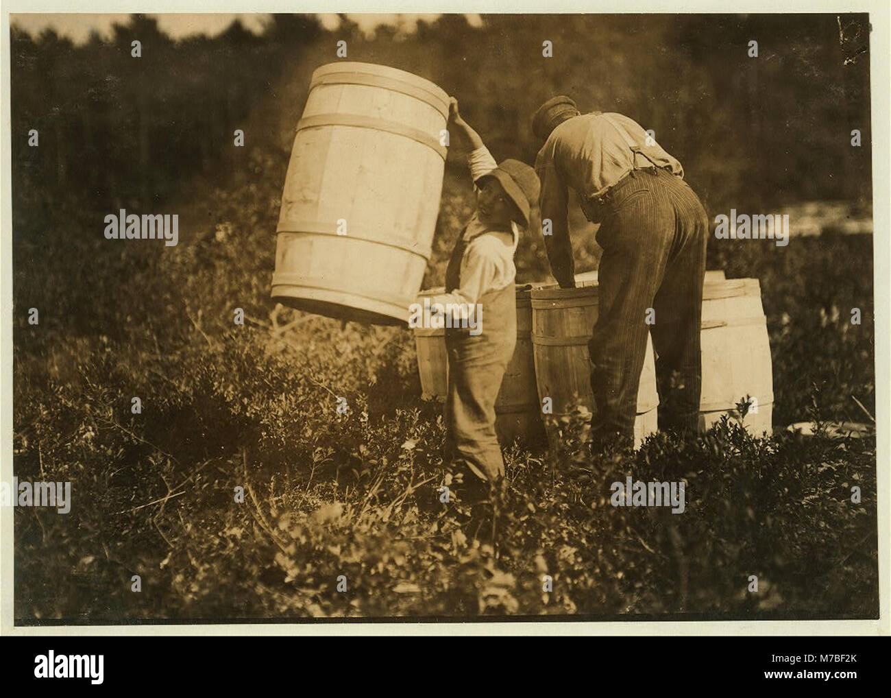 This image shows 10-year-old Robert Saunders, who carries barrels for a ...
