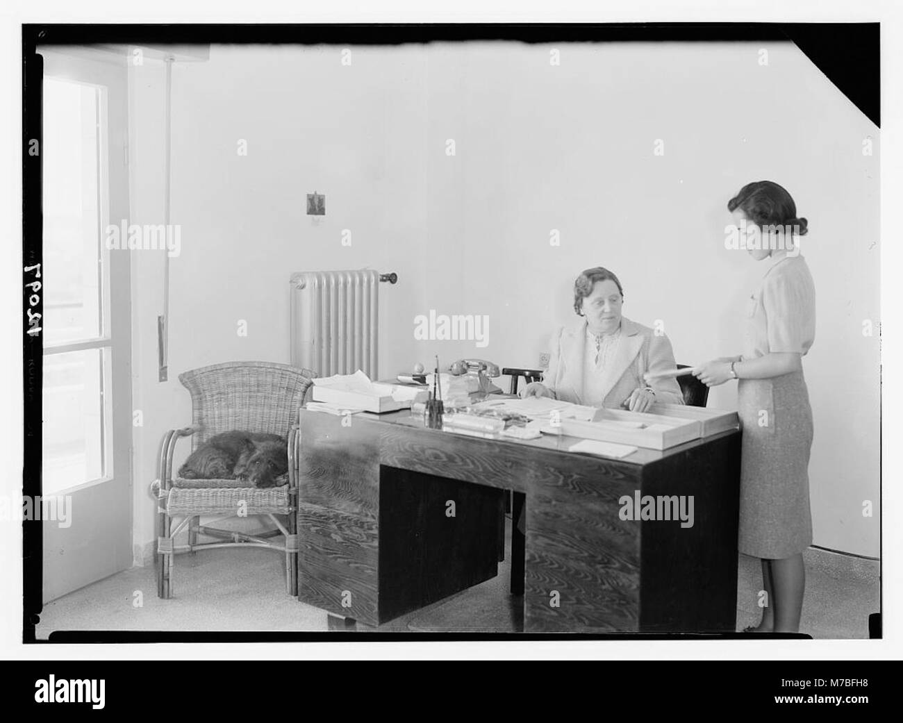 Miss Riddler is pictured at her desk while working for the British Red ...