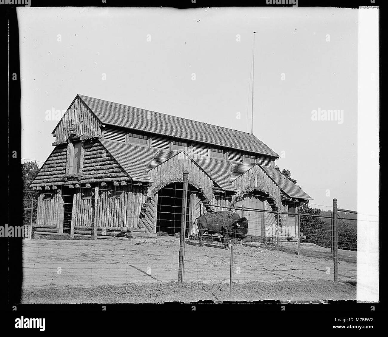 A photograph of the Buffalo House at the zoo park, showcasing the ...