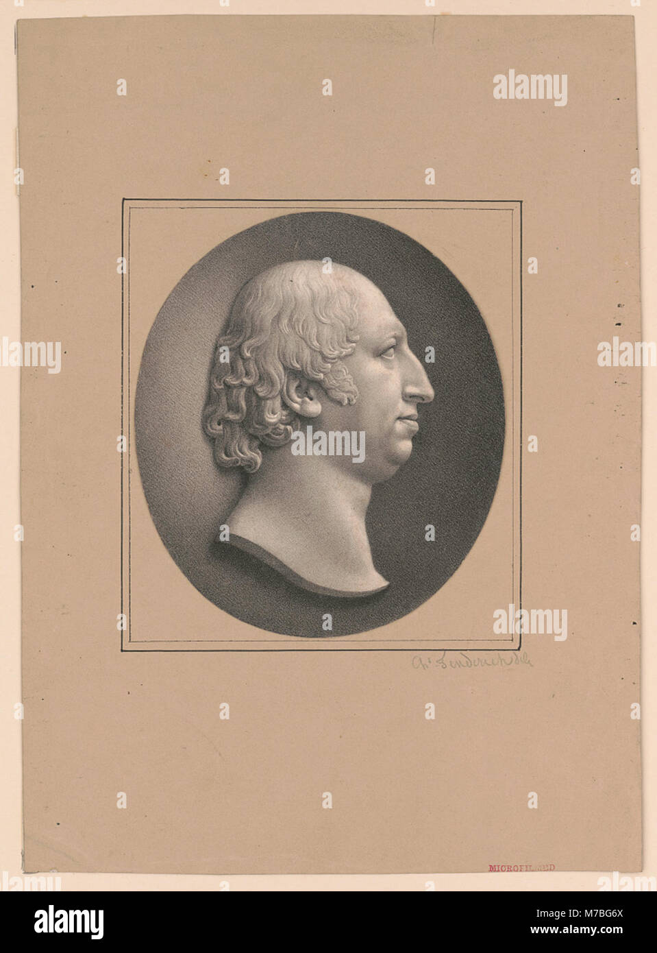 A bust portrait of a man, showcasing his facial features and attire ...