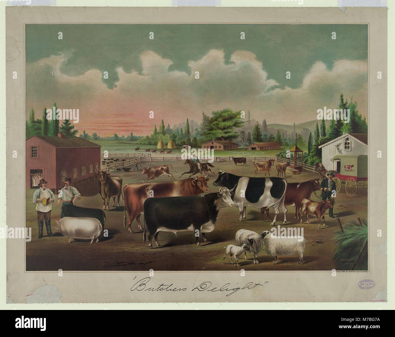 'Butchers Delight' is an image depicting the work of butchers and their ...
