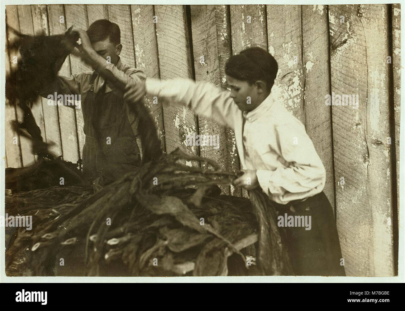 This photograph shows Lester Daniel and his 17-year-old cousin ...